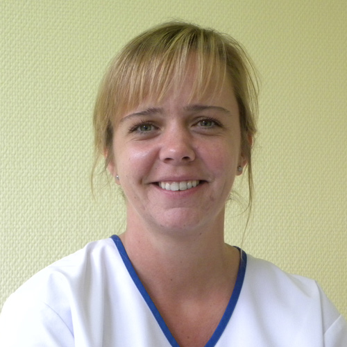 Dr. Michaela Rothe » Team